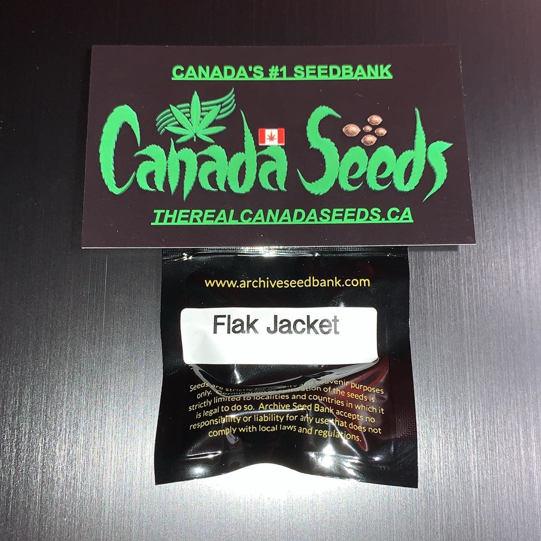Archive Seed Bank Flak Jacket - Canada Seedz