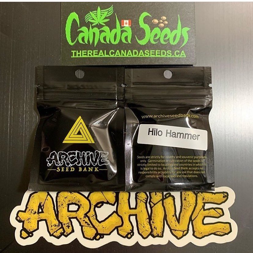ARCHIVE SEED BANK HILO HAMMER - Canada Seedz